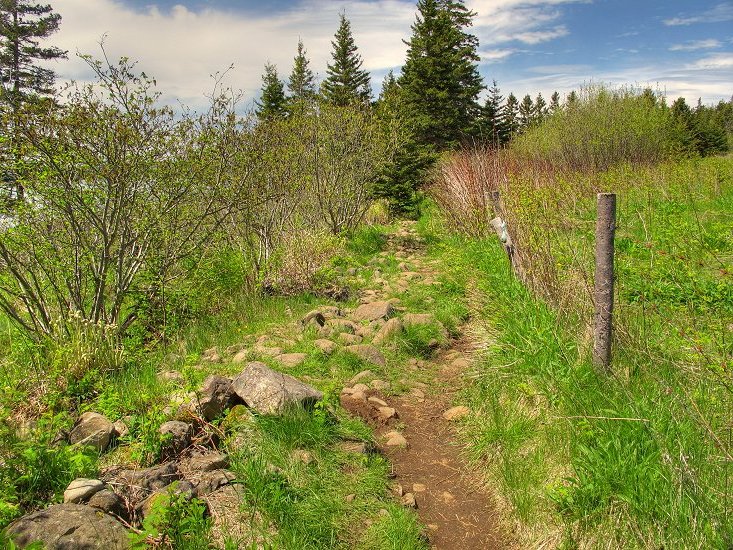 Cape Split Trail (Nova Scotia, Canada)