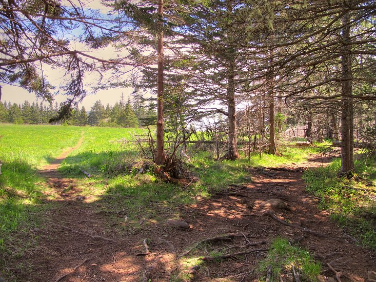 Cape Split Trail (Nova Scotia, Canada)