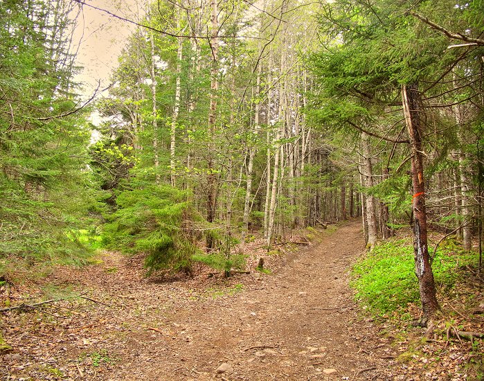 Cape Split Trail (Nova Scotia, Canada)