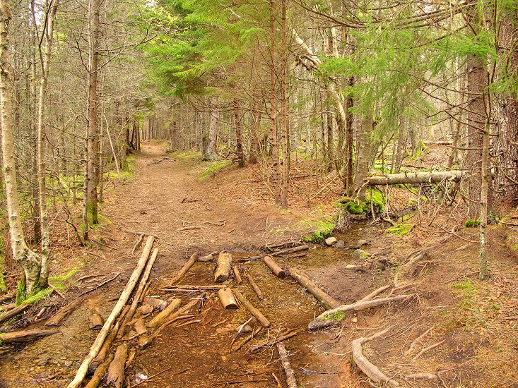 Cape Split Trail (Nova Scotia, Canada)