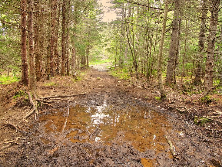Cape Split Trail (Nova Scotia, Canada)