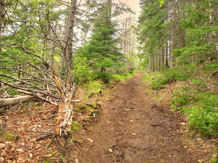 Cape Split Trail (Nova Scotia, Canada)