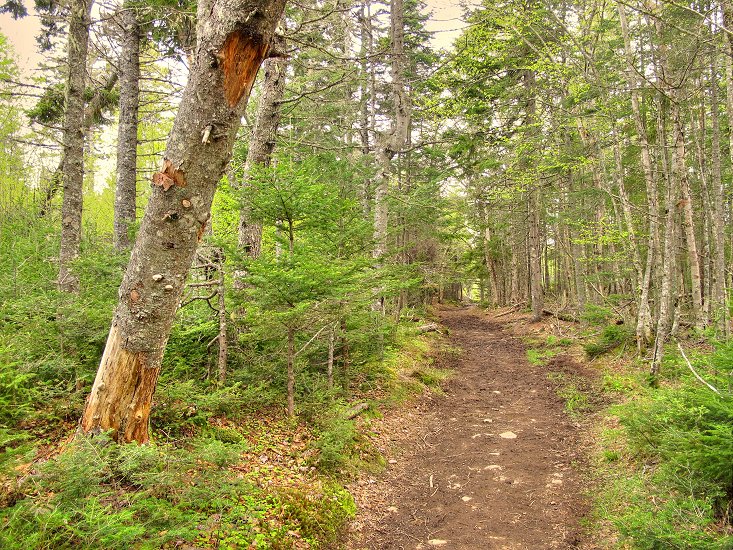 Cape Split Trail (Nova Scotia, Canada)