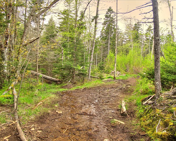 Cape Split Trail (Nova Scotia, Canada)