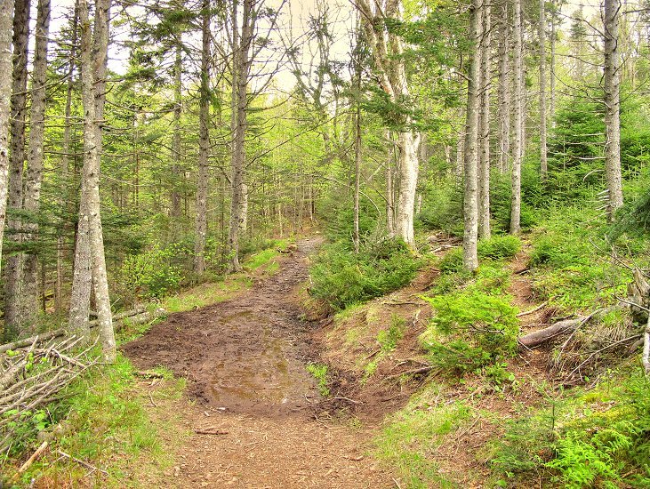 Cape Split Trail (Nova Scotia, Canada)