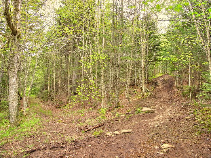 Cape Split Trail (Nova Scotia, Canada)