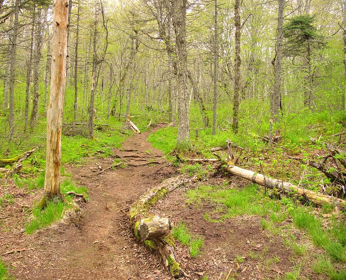 Cape Split Trail (Nova Scotia, Canada)
