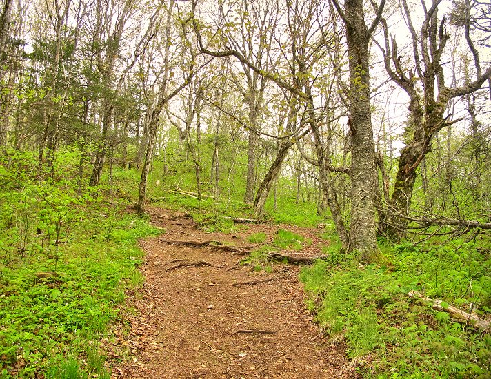 Cape Split Trail (Nova Scotia, Canada)