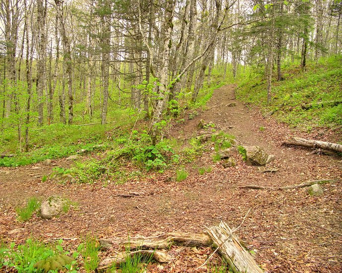 Cape Split Trail (Nova Scotia, Canada)