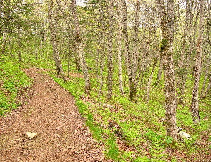 Cape Split Trail (Nova Scotia, Canada)