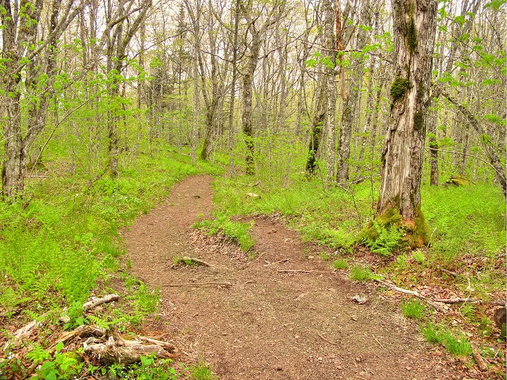 Cape Split Trail (Nova Scotia, Canada)
