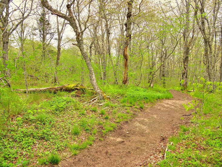 Cape Split Trail (Nova Scotia, Canada)