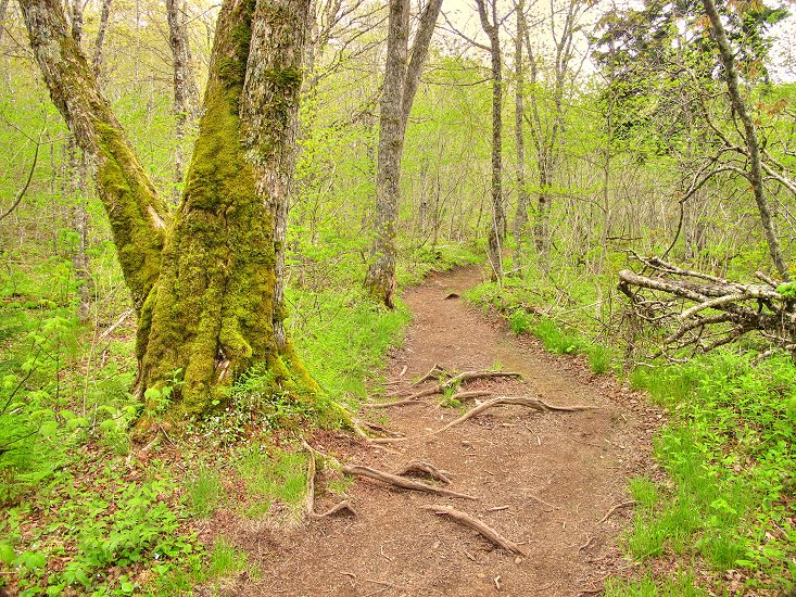 Cape Split Trail (Nova Scotia, Canada)
