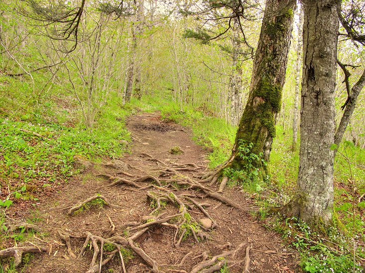 Cape Split Trail (Nova Scotia, Canada)