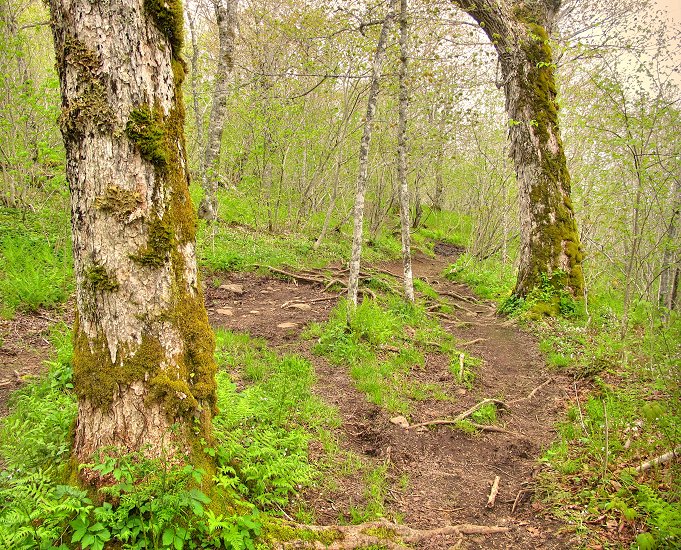 Cape Split Trail (Nova Scotia, Canada)
