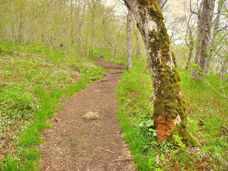 Cape Split Trail (Nova Scotia, Canada)