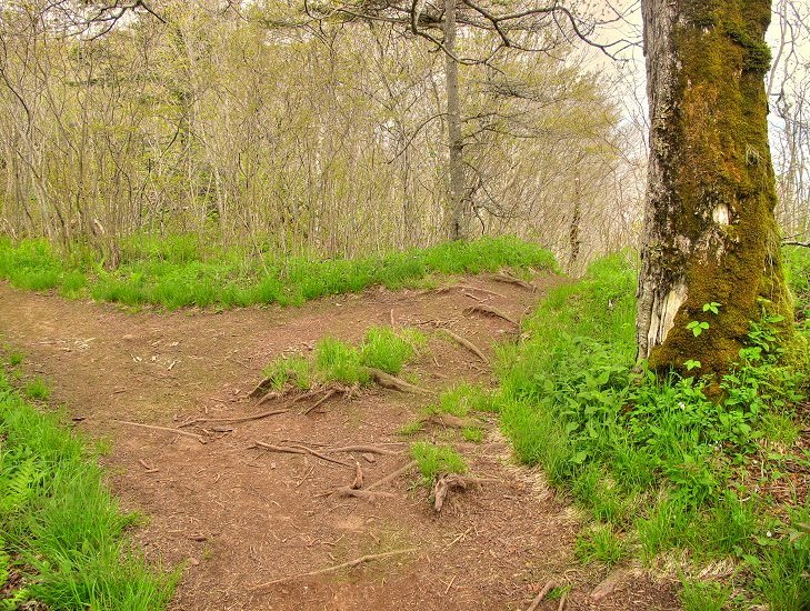 Cape Split Trail (Nova Scotia, Canada)