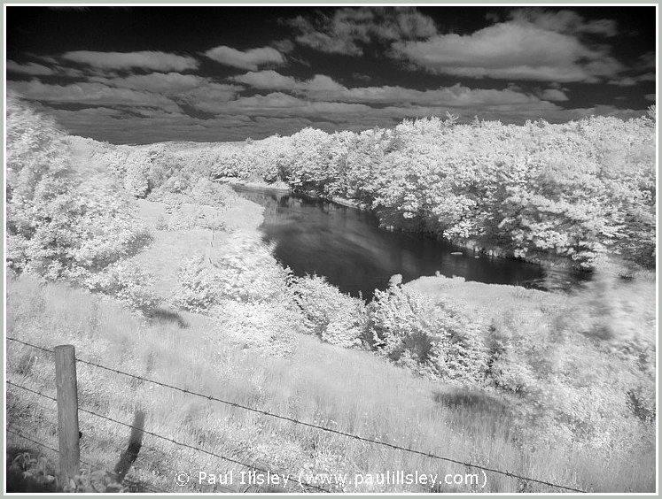 Monochrome Infrared Image